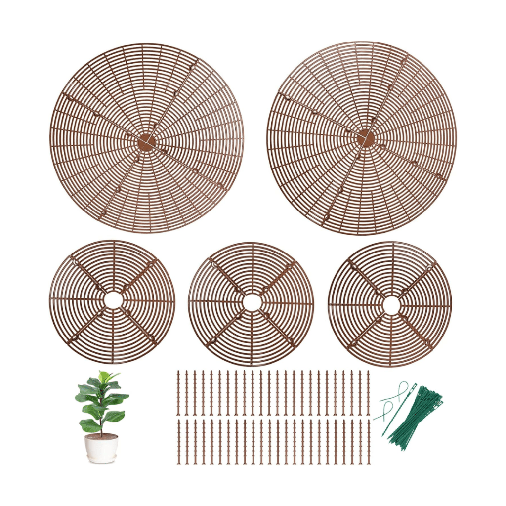 Outdoor Finds – Andreja Elena